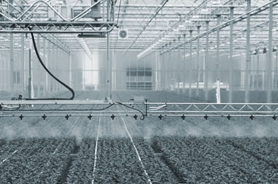 HANS® Premium Water | Better Water Means Better Business